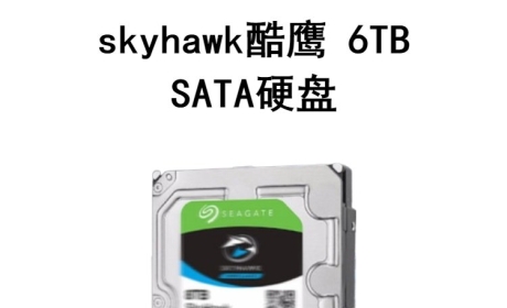 道通存储_希捷硬盘代理|企业级硬盘批发|云存储服务